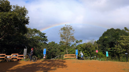 Timberland Mountain Bike Park