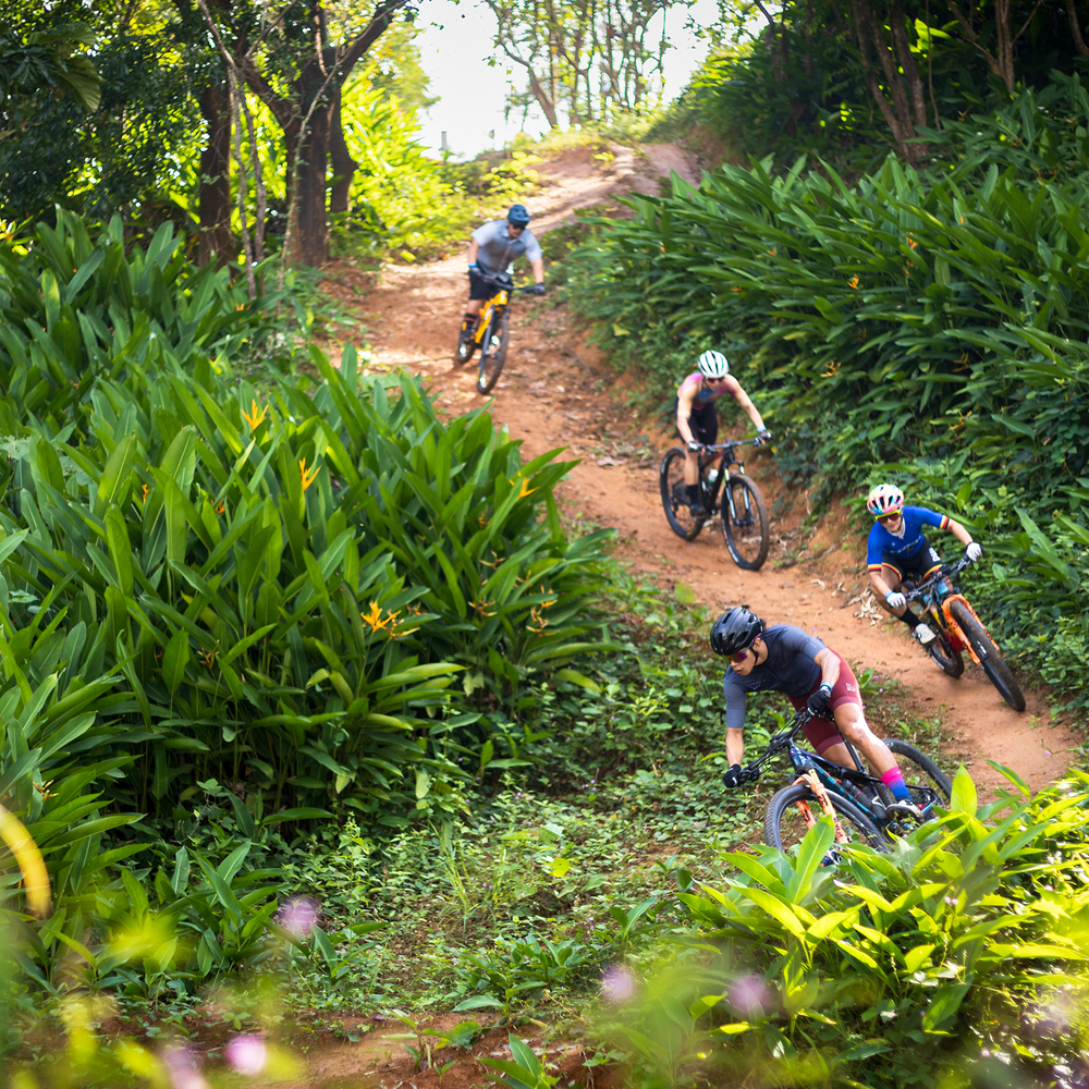 Timberland Mountain Bike Park