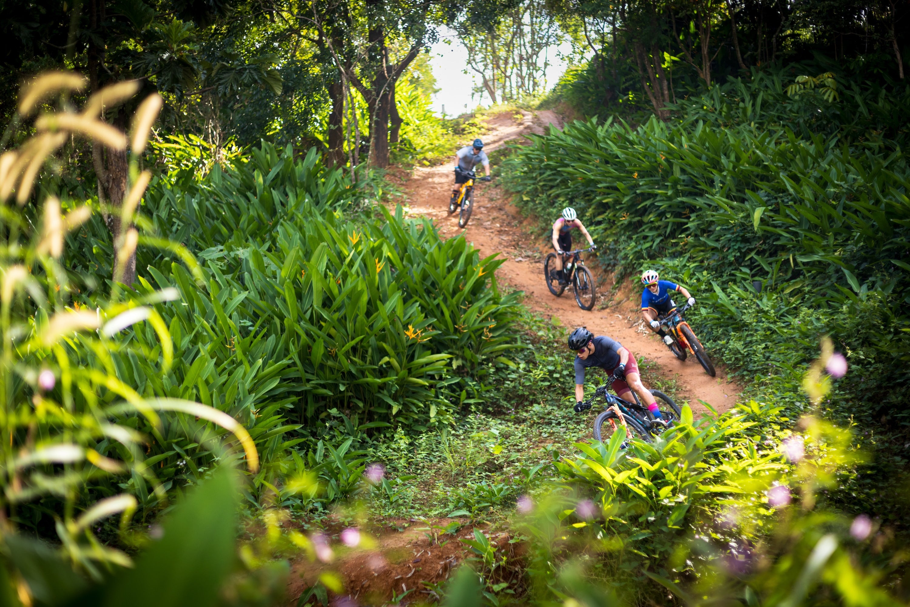 Timberland Mountain Bike Park