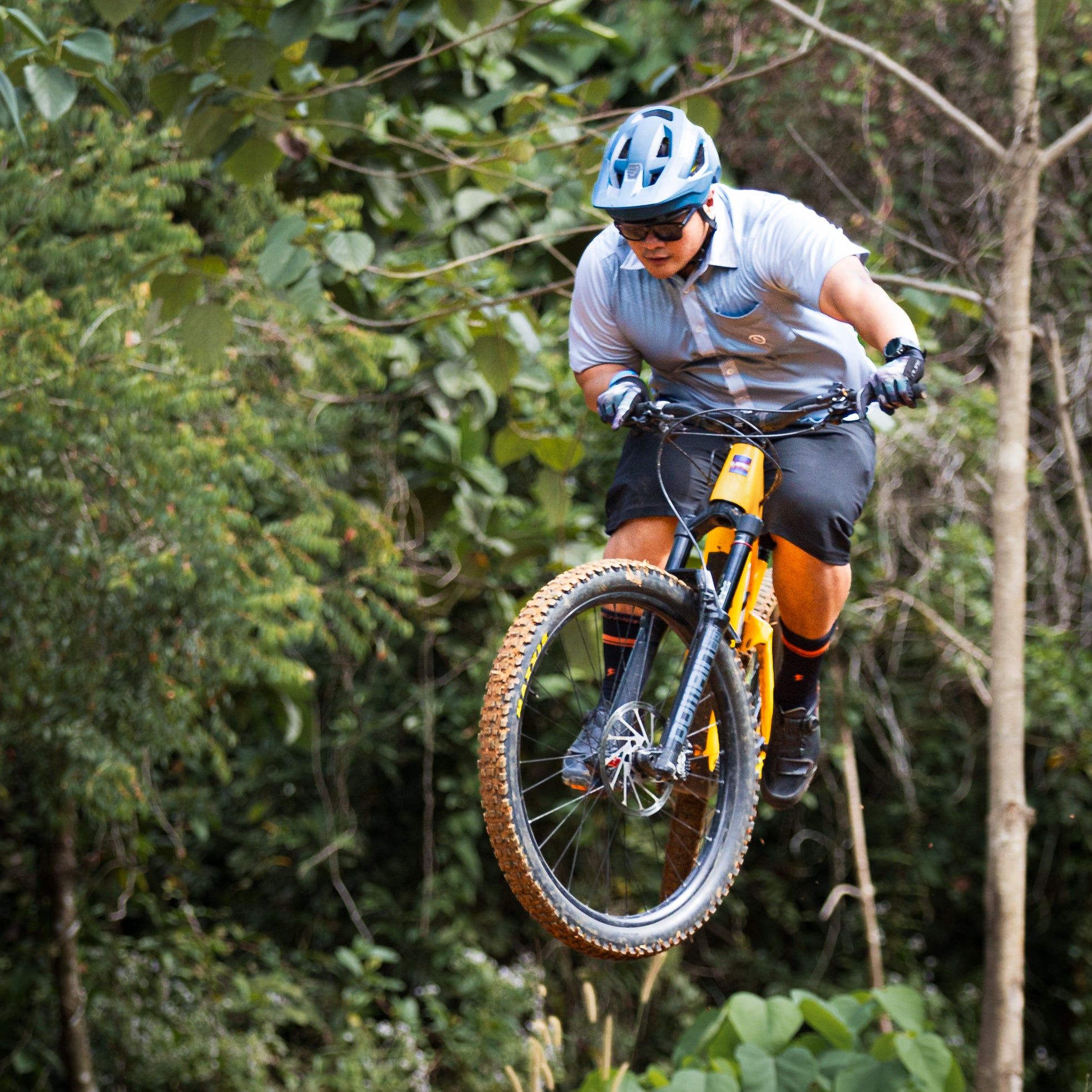 Timberland Mountain Bike Park